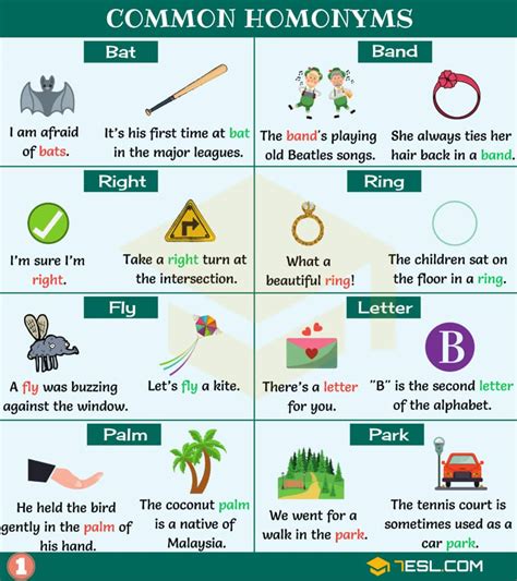 10 Examples Of Homonyms 100 Homonyms Examples With Sentences - All For ...